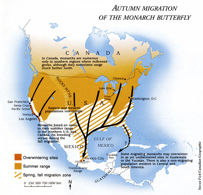 monarch_butterfly_range - Neurociencia con José Ramón Alonso - Tú eres ...