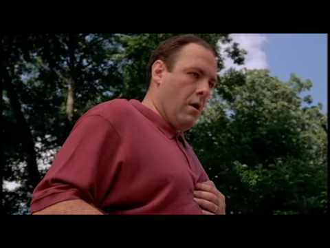 SUtiYW1qZHl3NU0x_o_the-sopranos-episode-1-ducks-depart-the-pool-tony ...