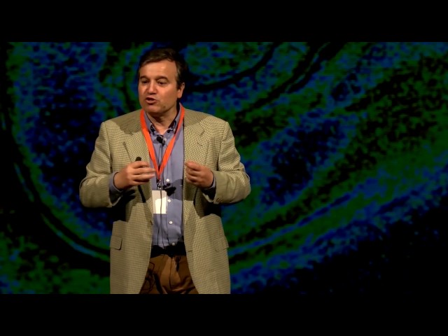 El mito de los quince minutos de atención - Neurociencia con José Ramón ...