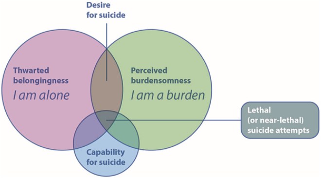 Autismo y riesgo de suicidio - Neurociencia con José Ramón Alonso - Tú ...